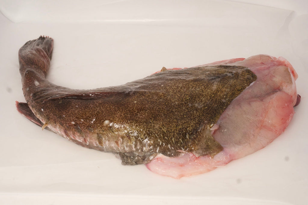 Monk Fish / Tamboril