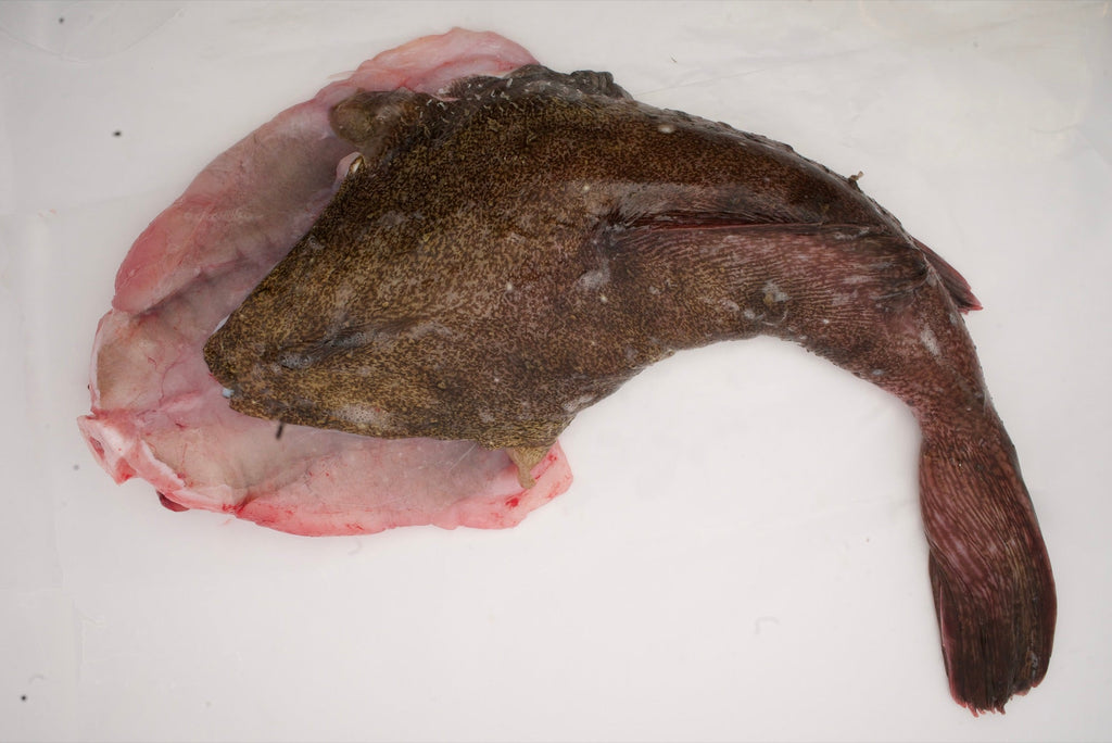 Monk Fish / Tamboril